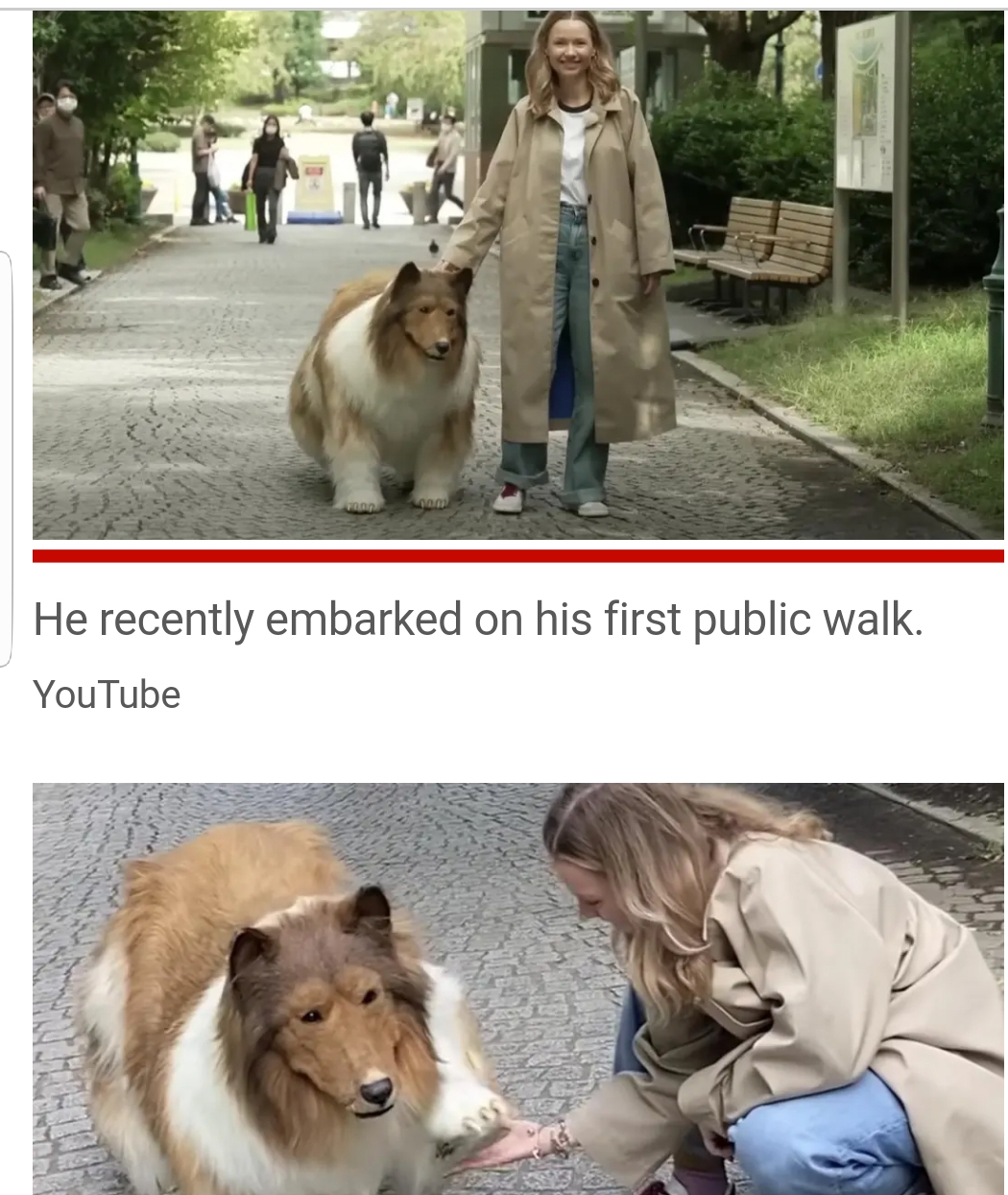 Man who spent $14K to transform himself into collie steps out for first ...